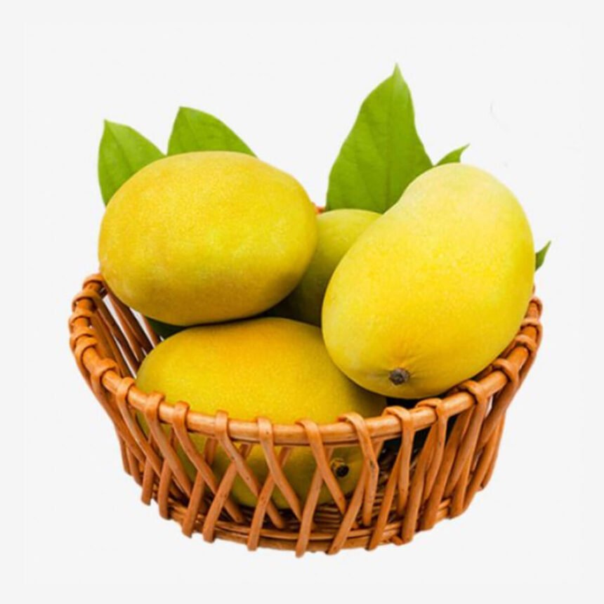 Fazli Mango Supplier - Sweet & Succulent Delights in Delhi/NCR