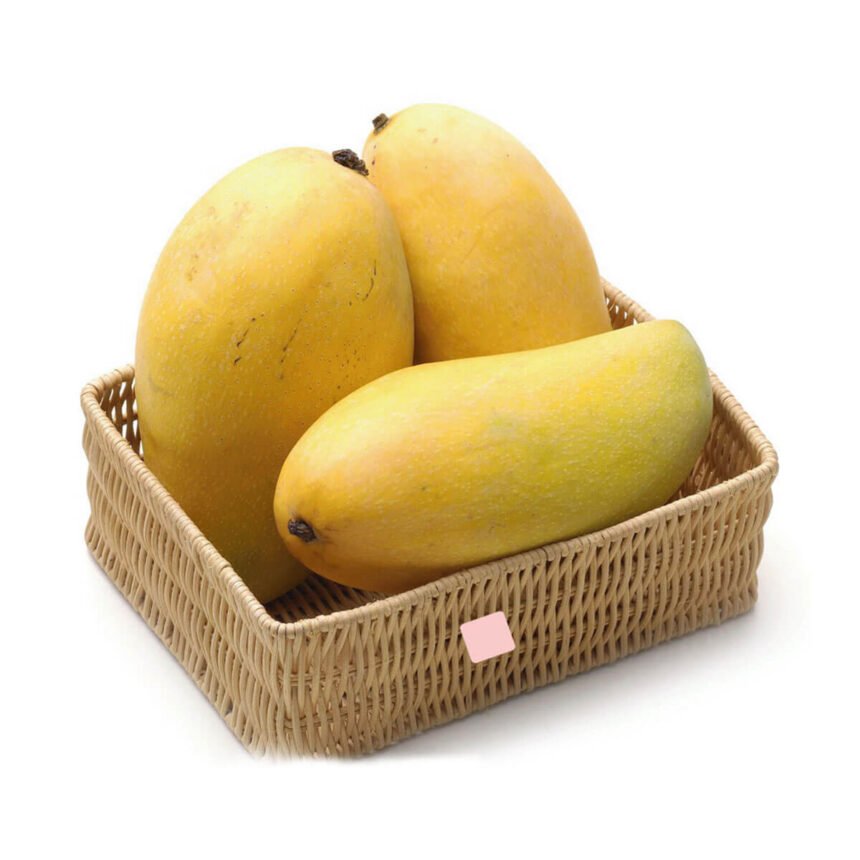 Premium Dussehri King Size Mango Supplier - Quality Guaranteed