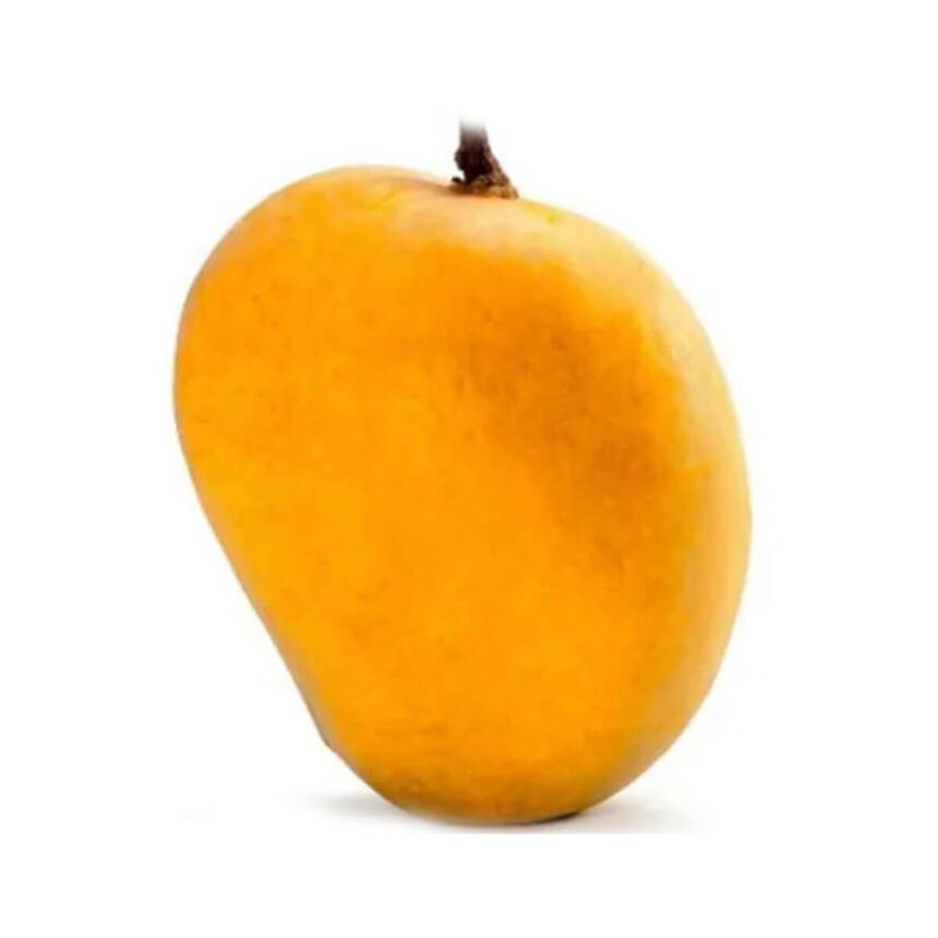 Premium Hapus Mango Supplier - King of Mangoes