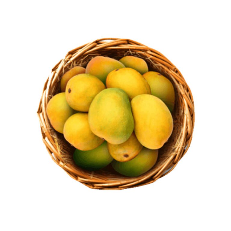 Buy Best Quality Fazil Mango from Malda Mango in Delhi/NCR