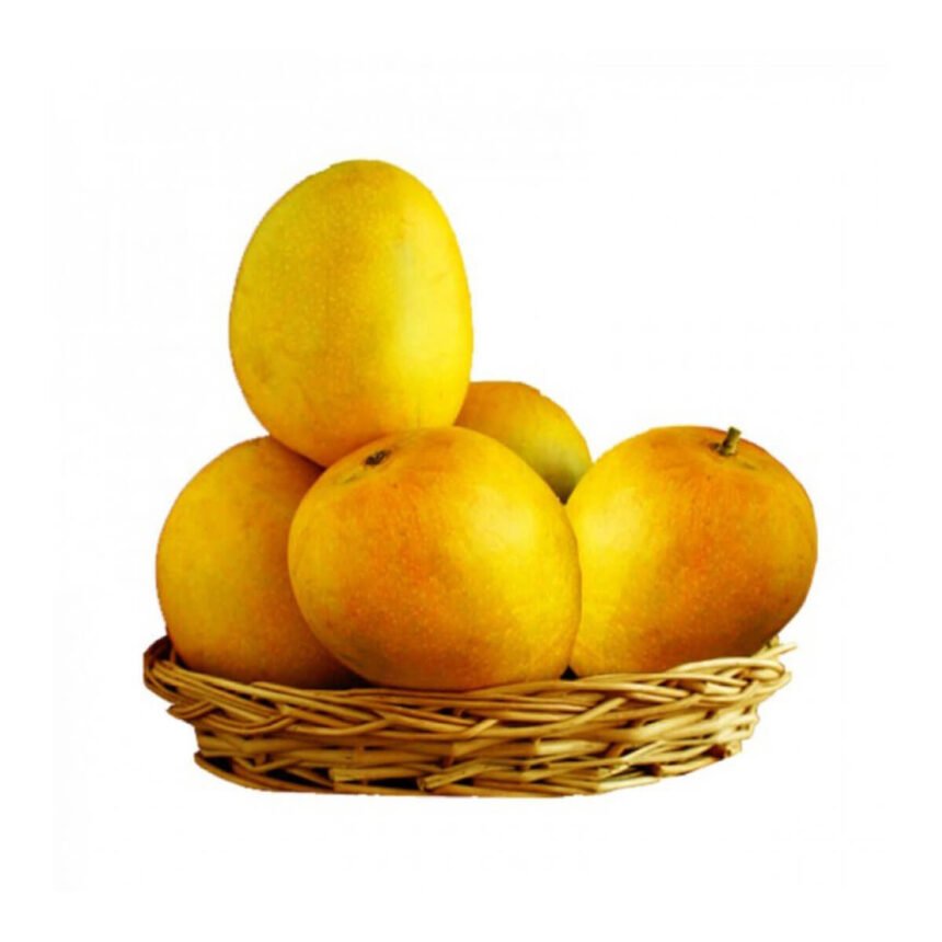 Premium Maliabad Dussehri Mangoes: Taste the Difference